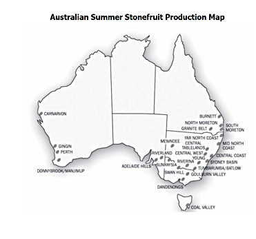 Summerfruit production Australia